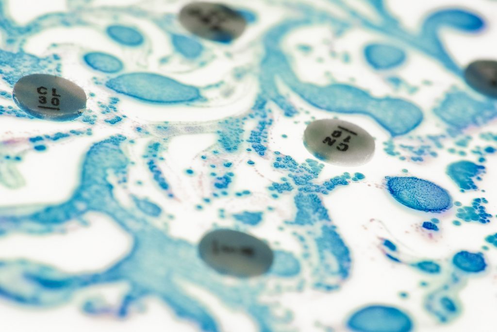 Gut Flora – BashTheBug