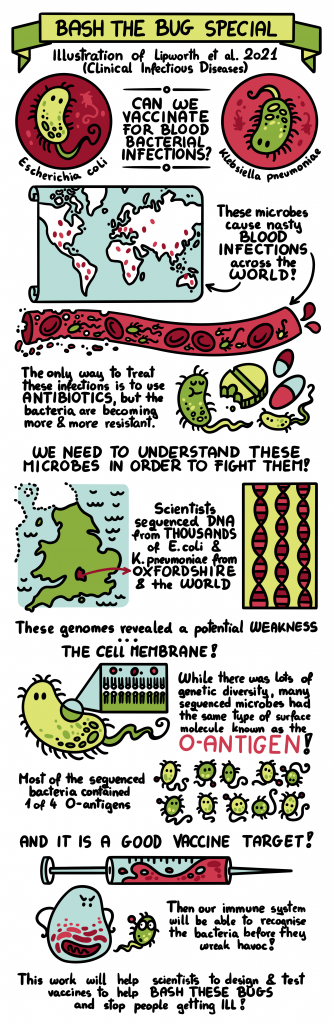 Visual Paper – BashTheBug