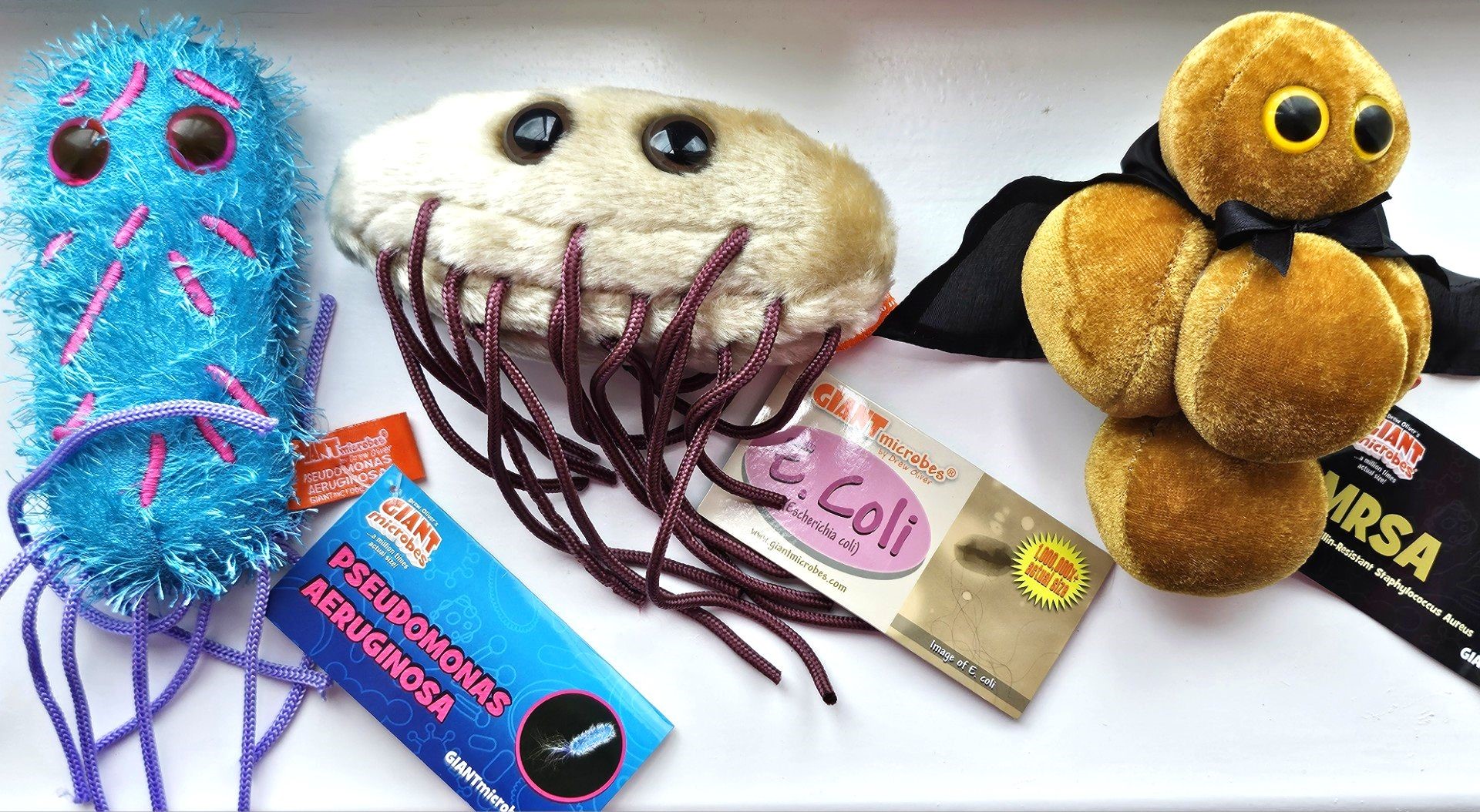 Microbe Drawing Competition! – BashTheBug